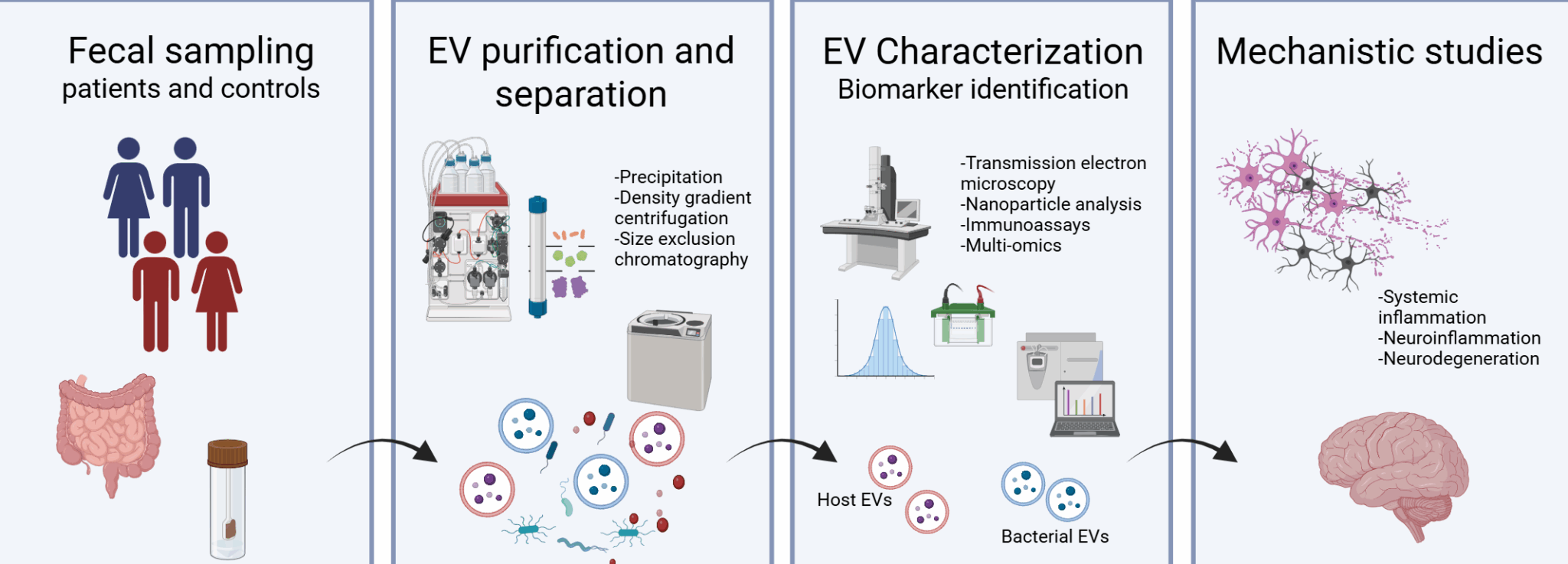Xiang Lab - The Erlangen Vesicle Initiative